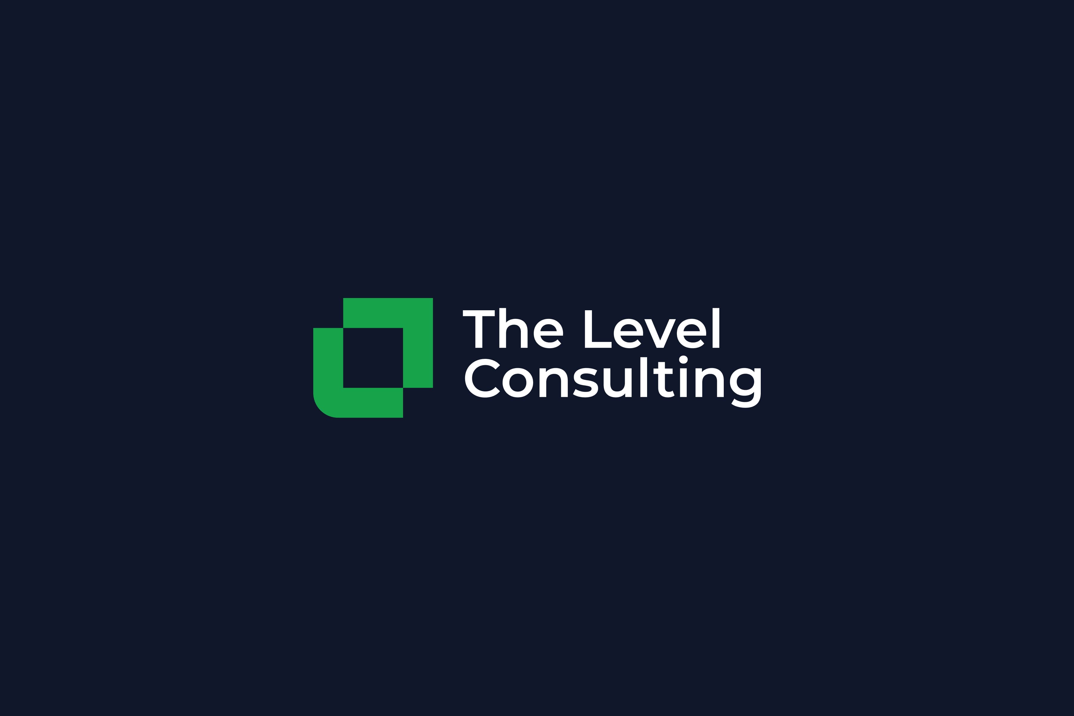 Консалтинговая фирма в ОАЭ - The Level Consulting
